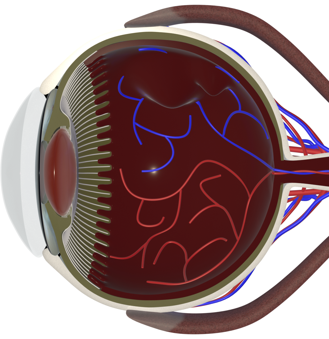 Unity Ortho & Eye Hospital
