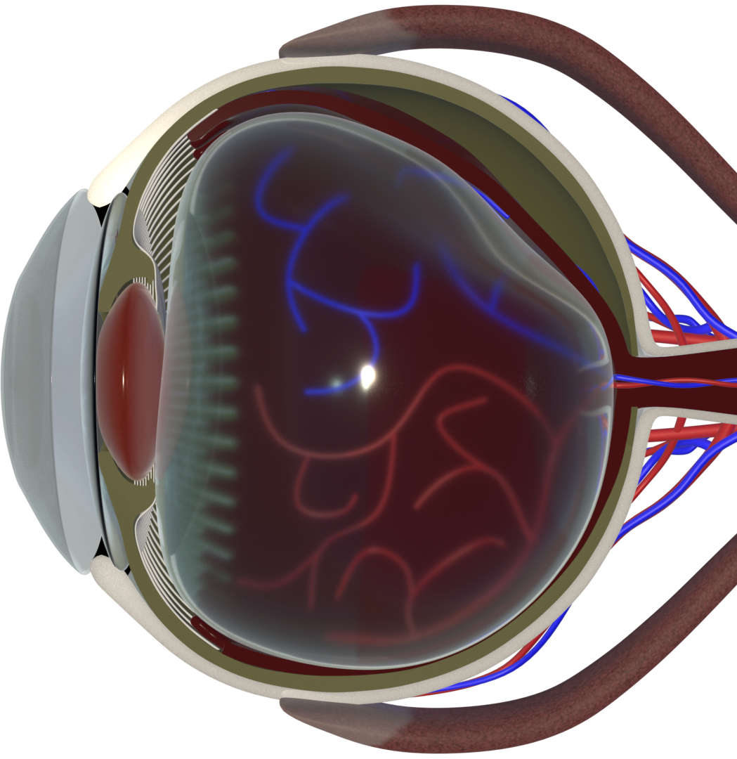 Unity Ortho & Eye Hospital